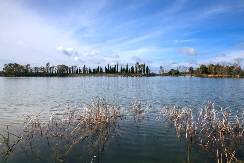 The Tree Line Reflection On The Lake Stock Image - Image of park ...