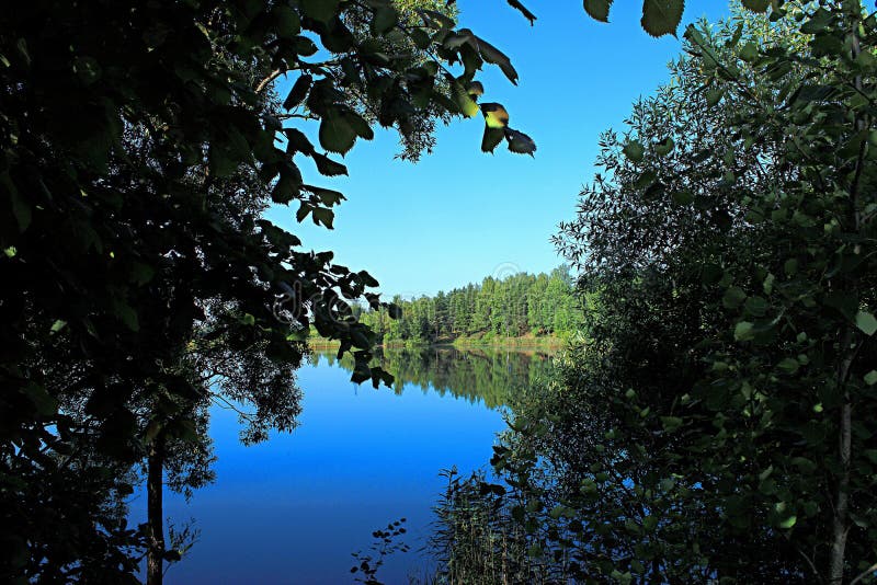 View of the Lake through the Trees Stock Photo - Image of lake, water ...