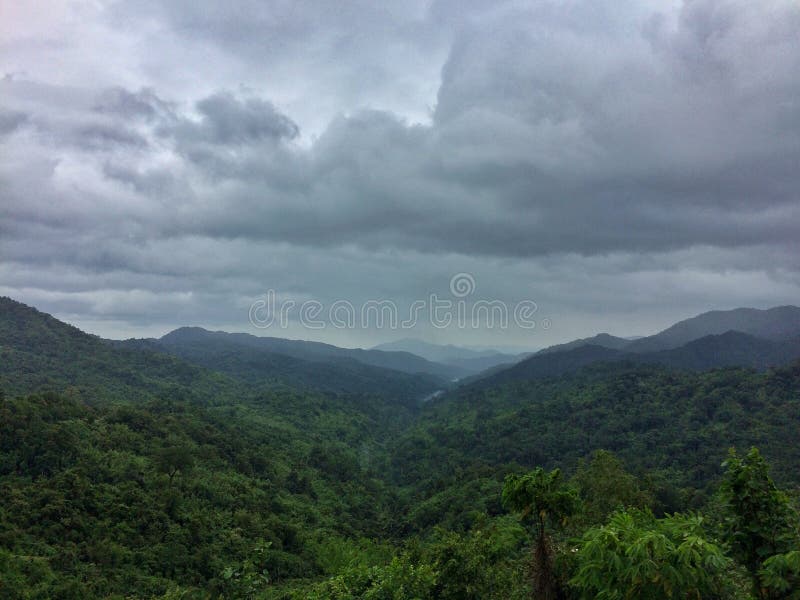 View Landscape in the Forest Mountain Stock Photo - Image of mist ...