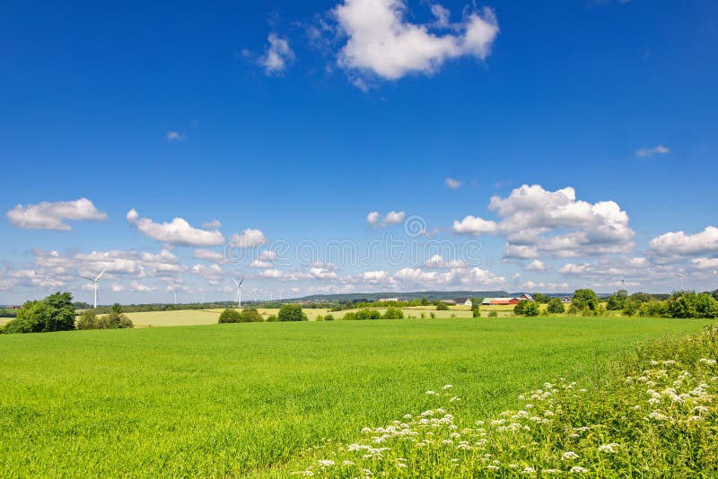 View at a Landscape with Green Fields in the Countryside in the Summer ...