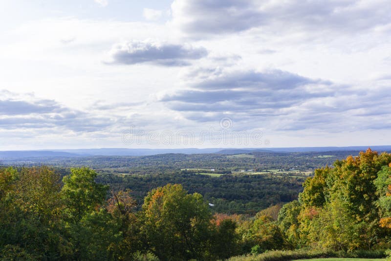 2 Trees in Valley Belgian Ardennes Stock Photo - Image of rime, forest ...