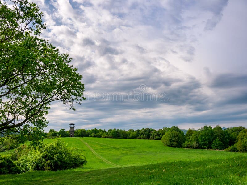 View of Landscape with Meadow, Forest and Lookout Tower on the Horizon ...