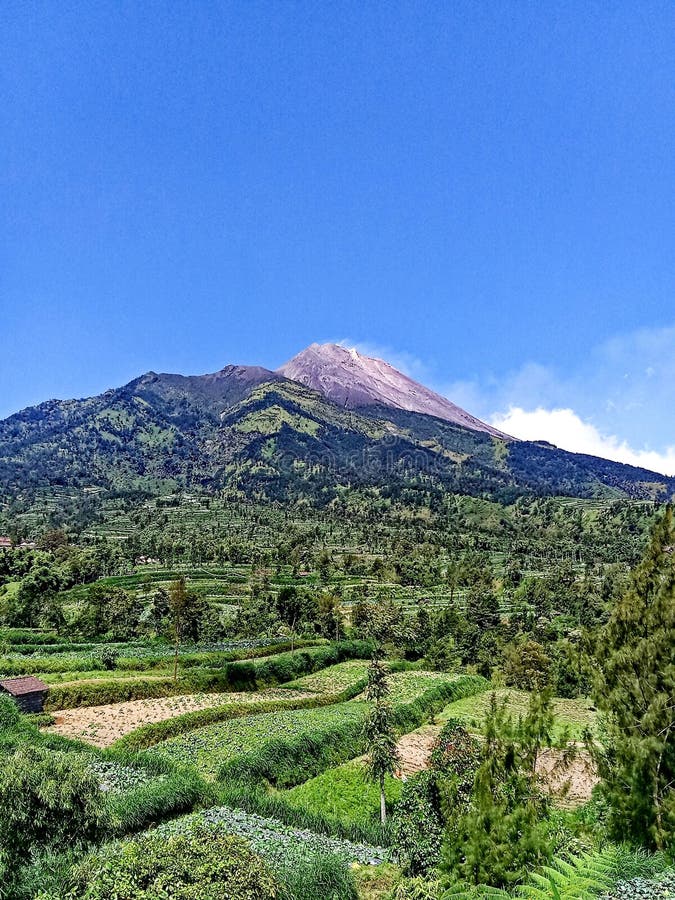View Landscape on the Slopes of the Volcano Stock Photo - Image of ...