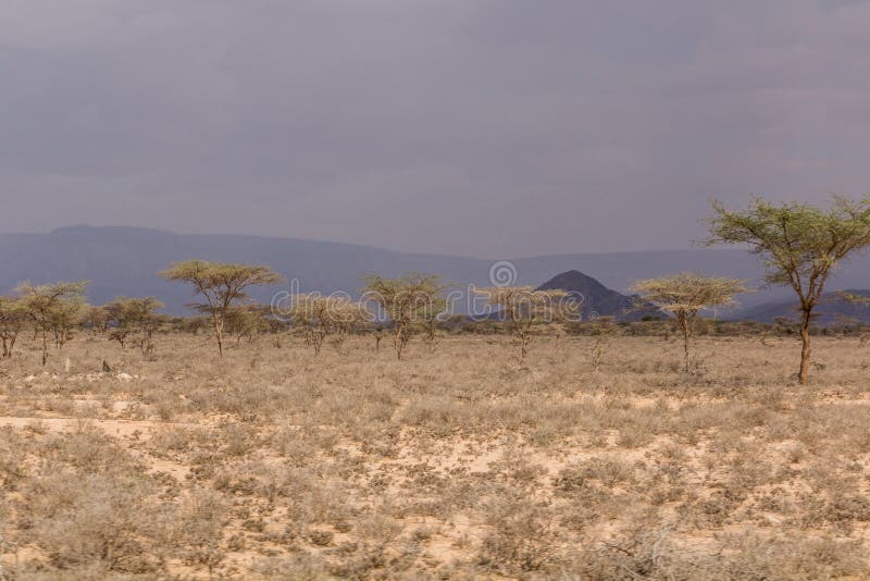 View of a Landscape in Somalila Stock Image - Image of country ...