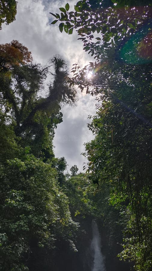 View Landscape from Waterfall Stock Image - Image of grass, view: 373429137