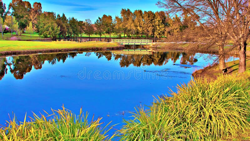 A View of a Landscaped Park with a Pond. Stock Photo - Image of pond ...