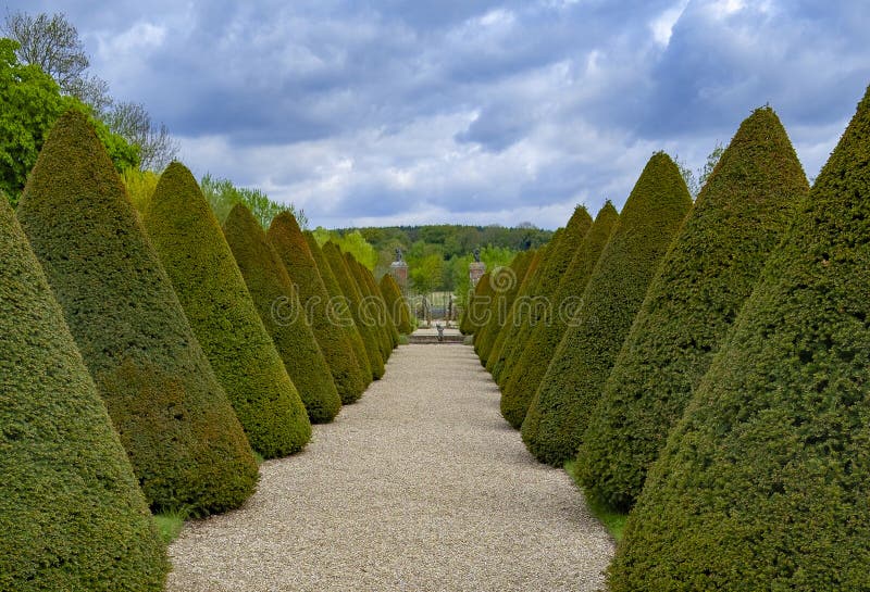 Pointed trees stock image. Image of trees, large, view - 117724945