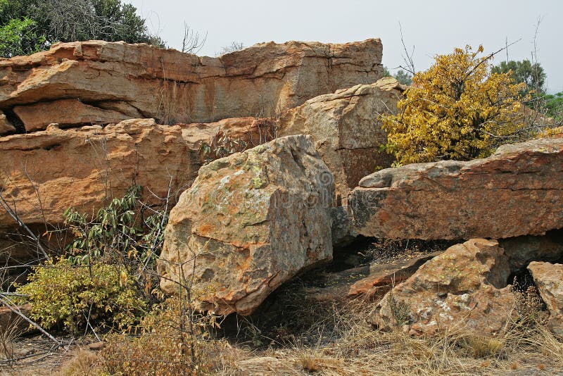 VIEW of LARGE ROCKS and SHRUBS Stock Image - Image of large, yellow ...