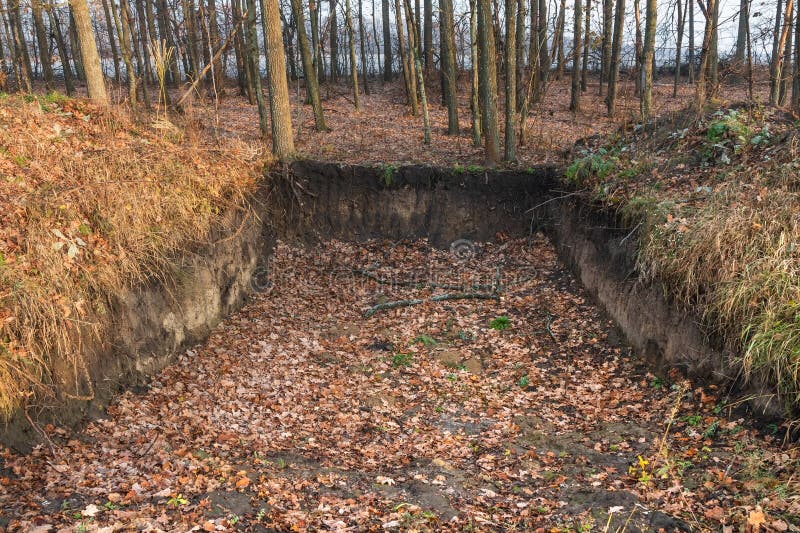 View of a Large Square Pit in the Forest. a Dug Hole in the Soil Stock ...