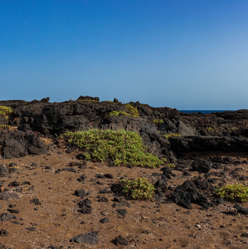 View of the Lava Beach of Linosa Called Faraglioni Stock Image - Image ...