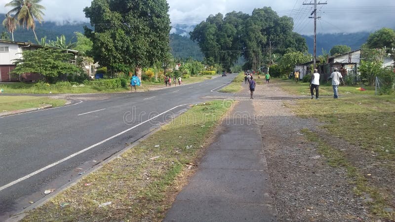 Pikus Tree Stock Photos - Free & Royalty-Free Stock Photos from Dreamstime