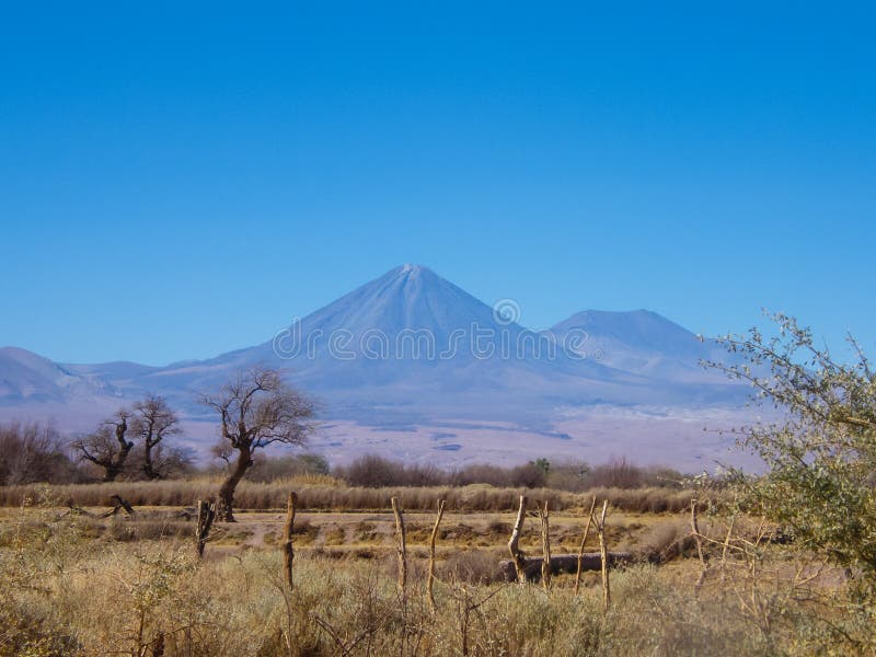 View of Licancabur Volcano stock photo. Image of mount - 196716320