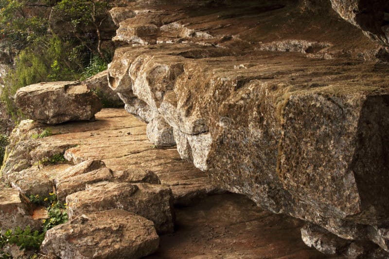 FLAT ROCK with DRY GRASS and VEGETATION Stock Photo - Image of park ...