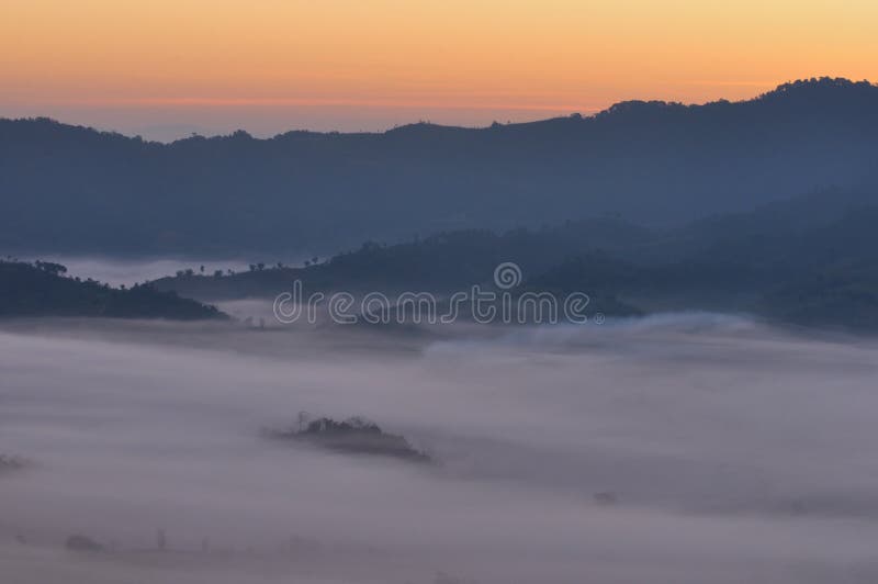 View Light and Morning Mist Stock Photo - Image of cloudscape, forest ...