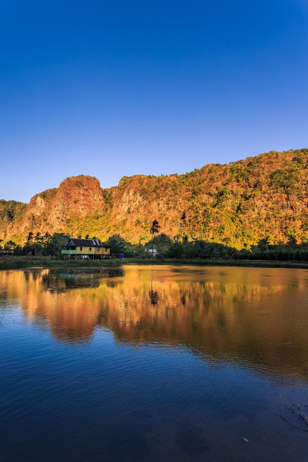 Limestone Forest in South Sulawesi Indonesia Stock Photo - Image of ...