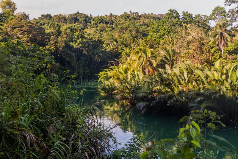 View of Loboc River on Bohol Island, Philippin Stock Image - Image of ...