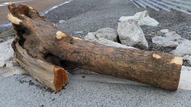 View of log on beach stock image. Image of rocks, ocean - 69793887