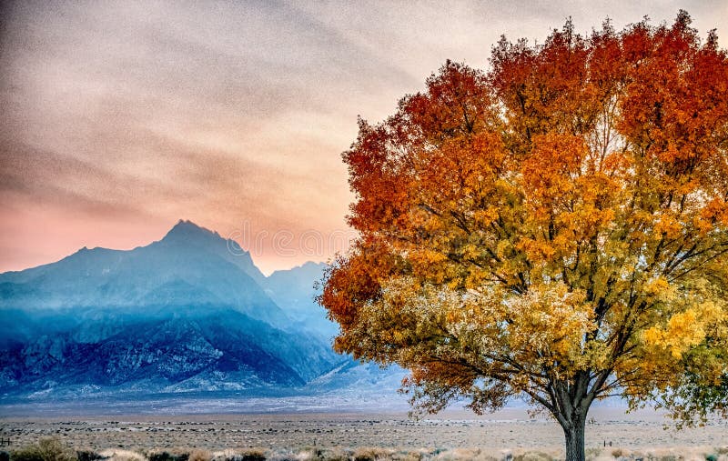 View of Lone Pine Peak, East Side of the Sierra Nevada Stock Image ...