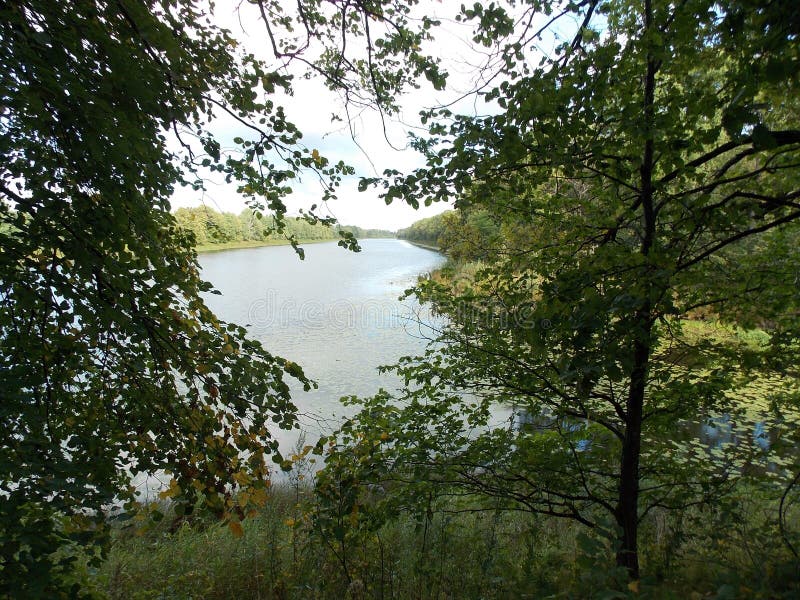 The Beautiful View of a Long Forest Lake through a Gap in the Branches ...