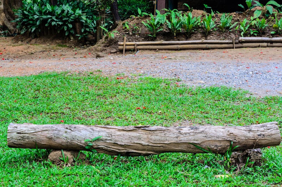 View of Long Timber stock image. Image of wood, carpentry - 31502087