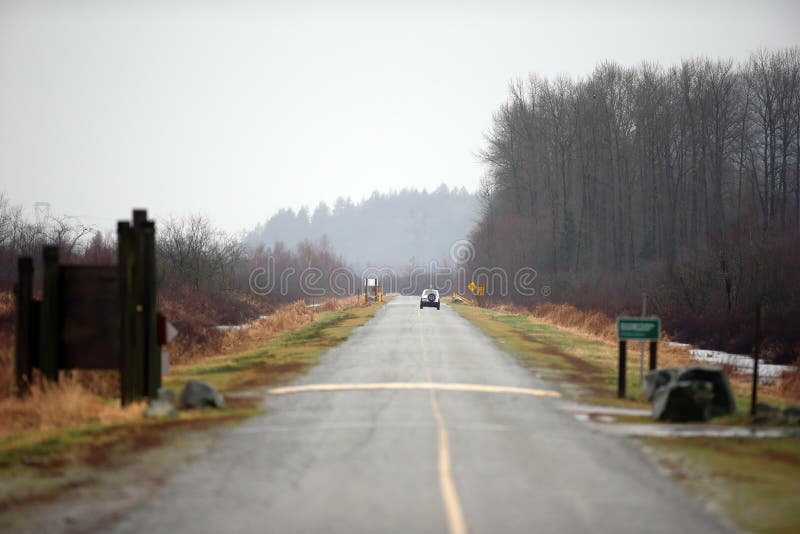 View of a Long and Wide Asphalt Road with Pine Forest on the Side Stock ...