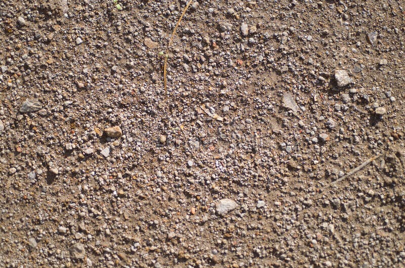 1,878 Gritty Soil Stock Photos - Free & Royalty-Free Stock Photos from ...