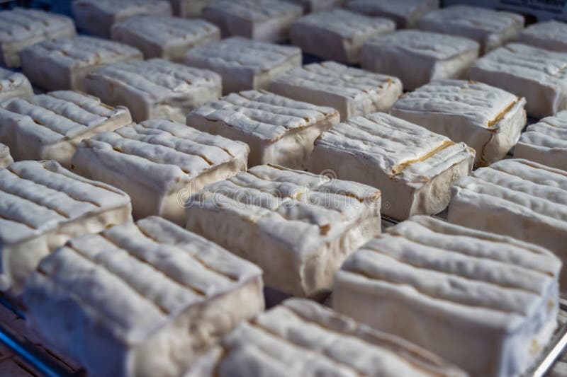 View of Lot of Neufchatel Cheeses Stock Image - Image of variation ...