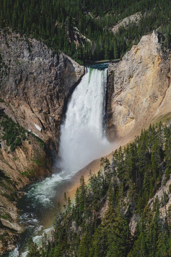 View of the Lower Falls of the Yellowstone River in Yellowstone ...