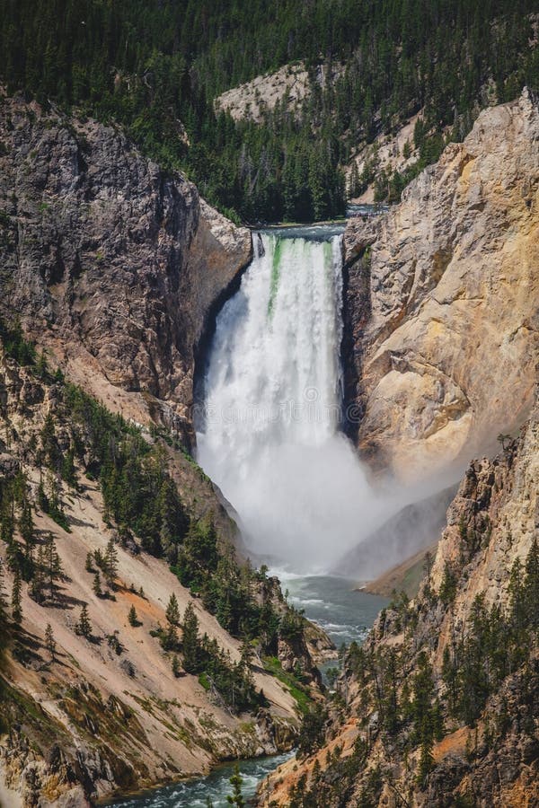 View of the Lower Falls of the Yellowstone River in Yellowstone ...
