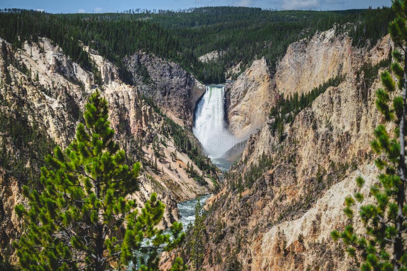 View of the Lower Falls of the Yellowstone River in Yellowstone ...