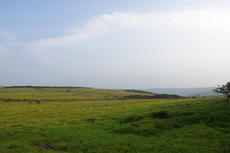 View of Lush Green Plateau Landscape in Satara Stock Photo - Image of ...