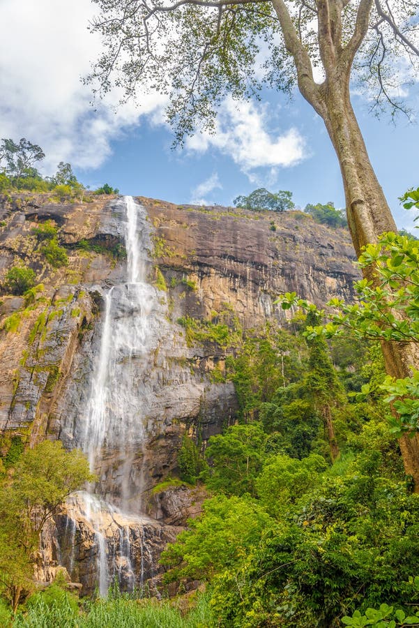 View at 220 M High Diyaluma Falls - Second Highest Waterfall in Sri ...