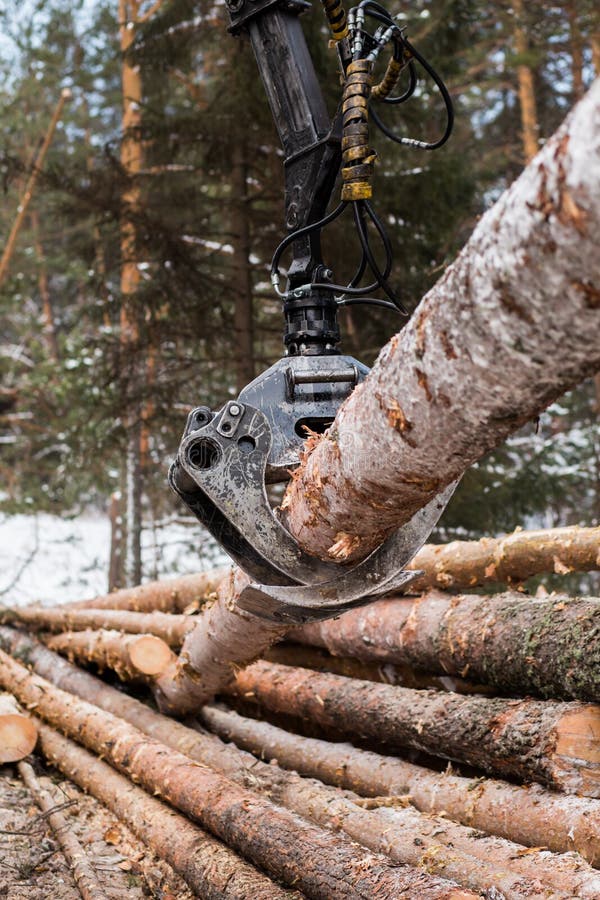Tree Log Hydraulic Manipulator Stock Photo - Image of lumber, grapnel ...