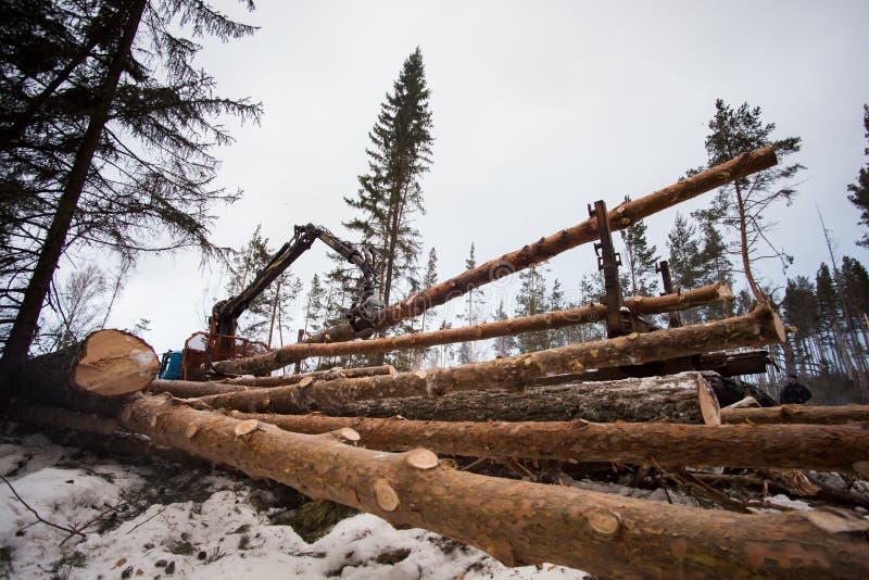Tree Log Hydraulic Manipulator Stock Image - Image of lading, industry ...