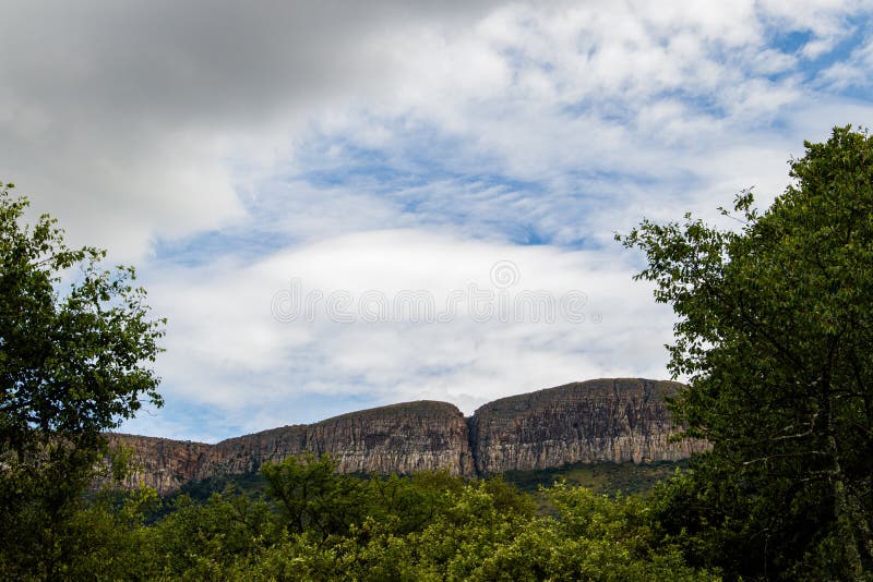 View of a Cliff through the Forest Stock Image - Image of magaliesberg ...