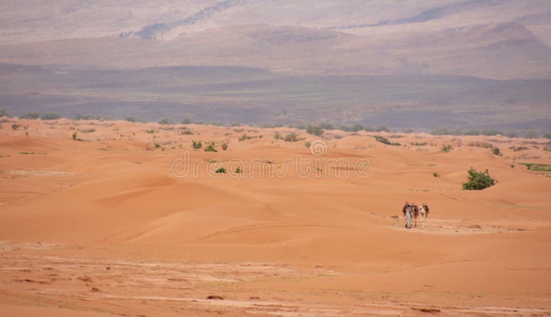 View of the Magnificent Landscape of the Sahara Stock Photo - Image of ...