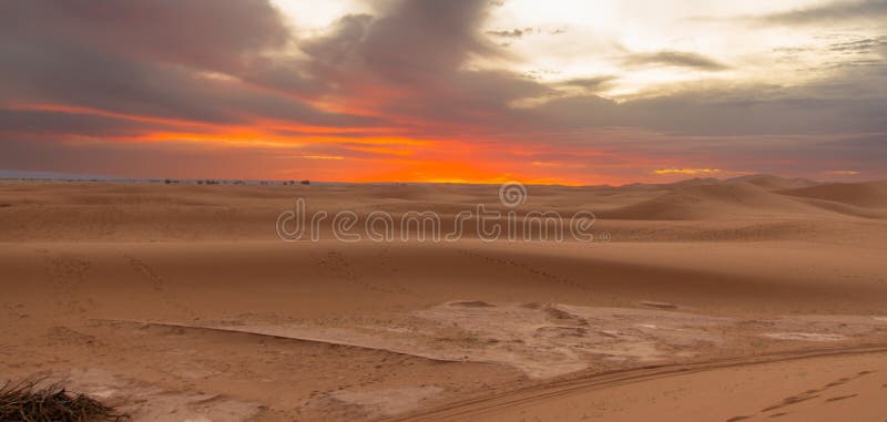 View of the Magnificent Landscape of the Sahara Stock Photo - Image of ...