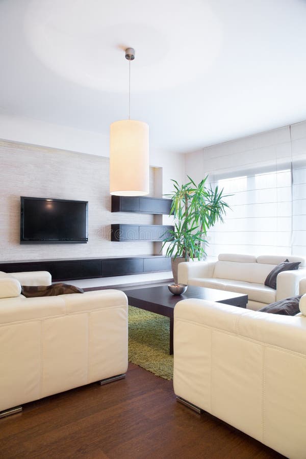 View of main room stock image. Image of residence, decor - 52199987