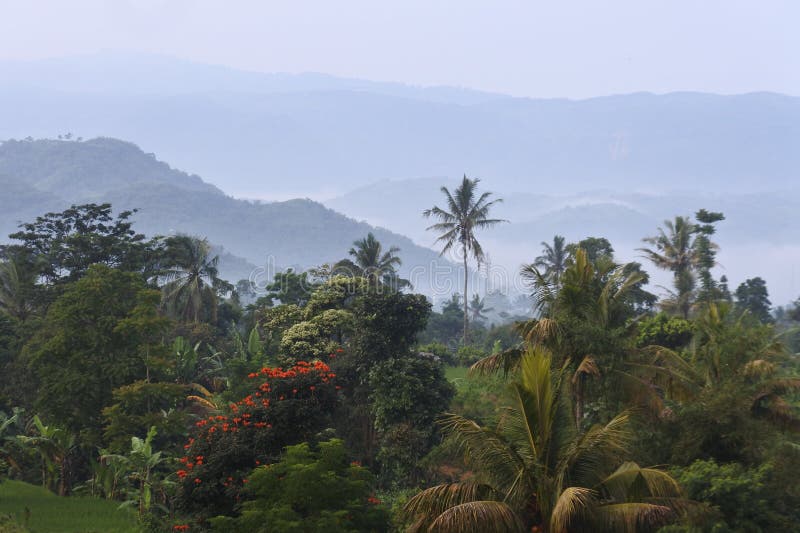 View Majestic Landscape of Sukabumi, West Java Indonesia Stock Image ...