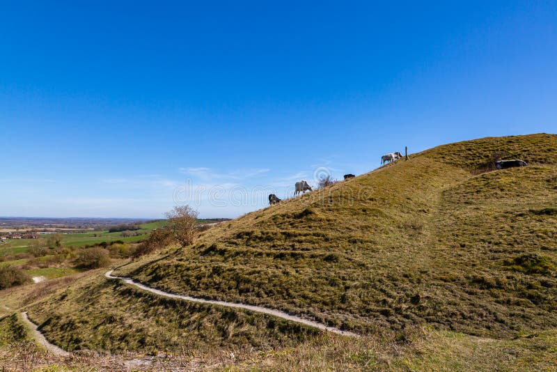 Malling Down Near Lewes in Sussex Stock Image - Image of fields ...