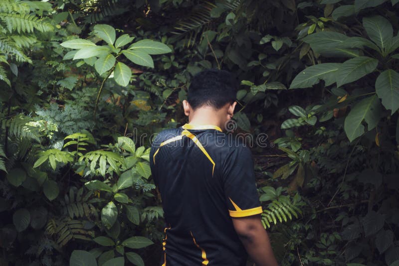 A Man, Alone in a Lush Forest Stock Image - Image of autumn, journey ...
