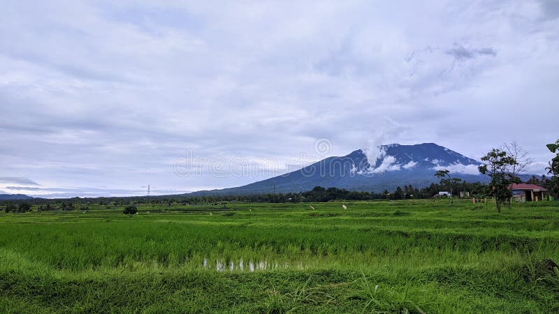 View Marapi Mountain from Tanah Datar Stock Image - Image of pasture ...