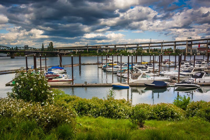 Downtown Marina & Waterfront Portland OR. Stock Image - Image of ...