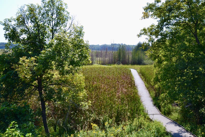 View of Marsh Boardwalk Along Hiking Trail at Presqu Ile Stock Photo ...