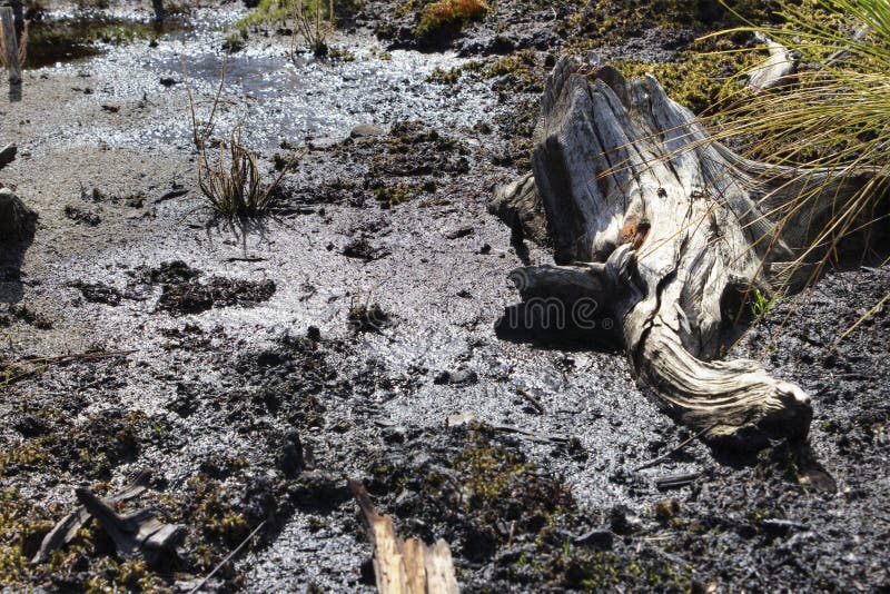 Sinking In Quicksand