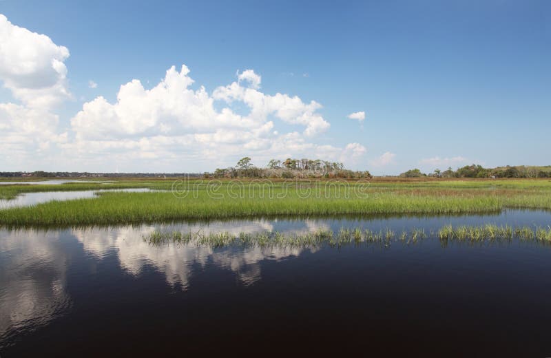 Marshes of north Florida stock photo. Image of journey - 125076414