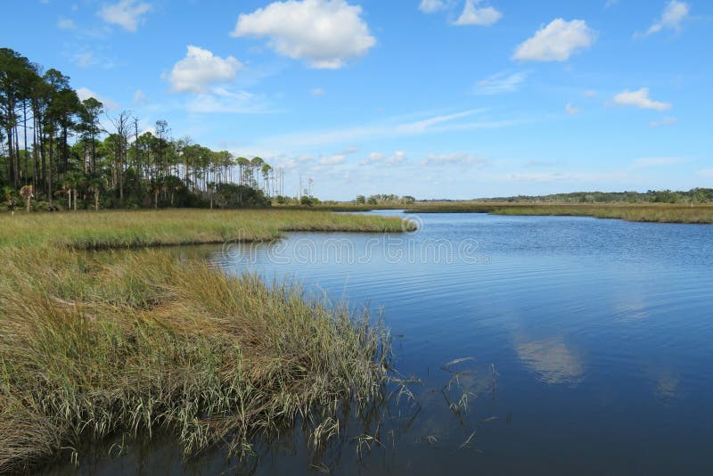 View of the Marshes of North Florida Stock Image - Image of clouds ...