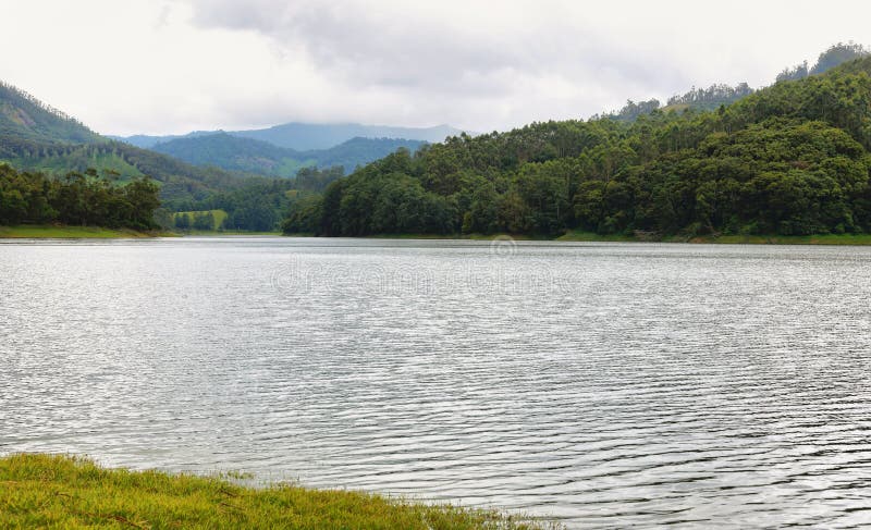 View of Mattupetty Dam, Munnar, Kerala, India Stock Photo - Image of ...