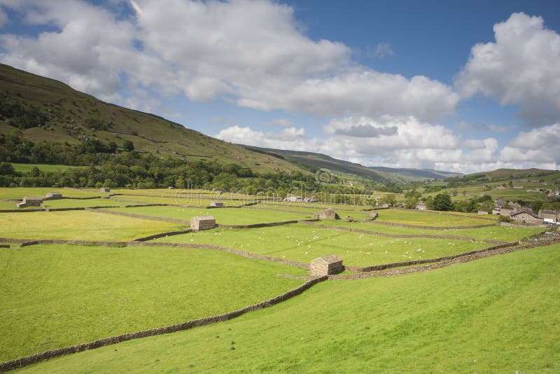 View of Meadows, Gunnerside, Swaledale Stock Photo - Image of park ...