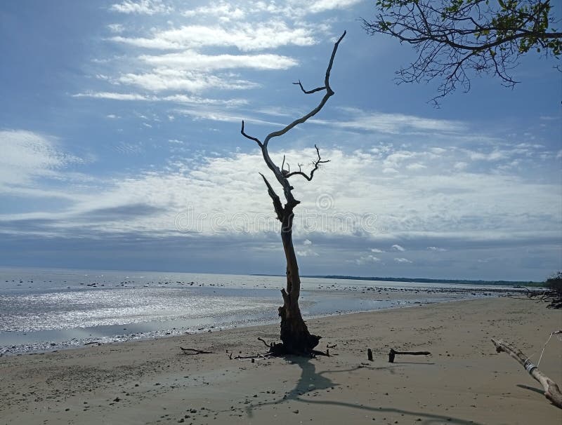 View of Melolo Beach in East Sumba Stock Photo - Image of sumba, beach ...